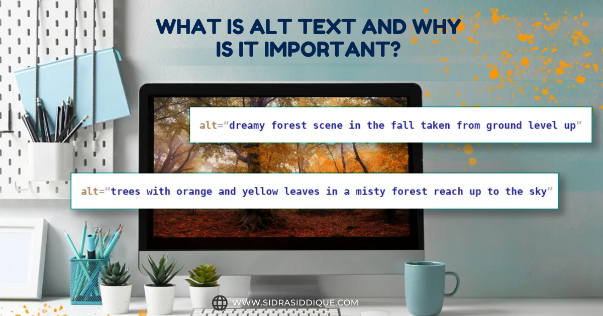 What is Alt Text and Why is it Important? - SEO Expert